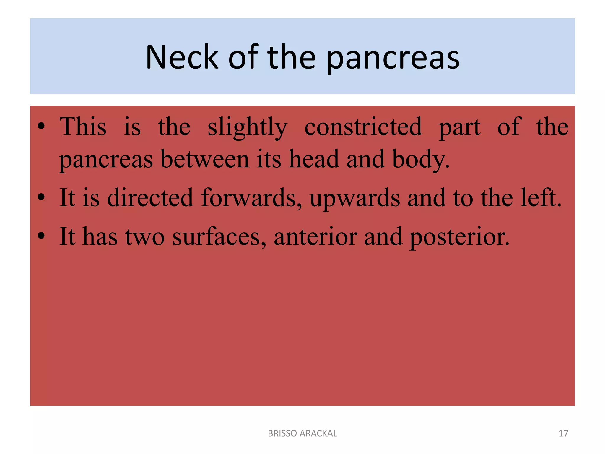 The pancreas | PPTX
