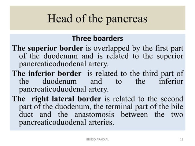 The pancreas | PPTX