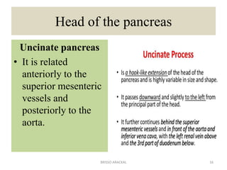 The pancreas | PPTX