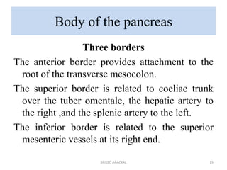 The pancreas | PPTX