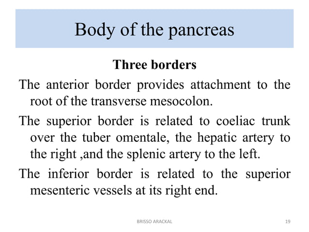 The pancreas | PPTX