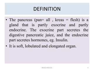 Pancreas Definition