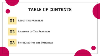The Pancreas- General overview of the Pancreas | PPT