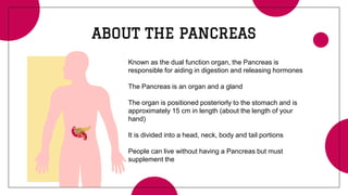 The Pancreas- General overview of the Pancreas | PPT