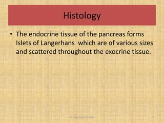 The pancrease.pptx