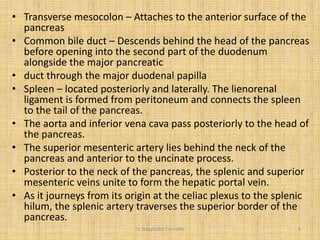 The pancrease.pptx