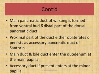 The pancrease.pptx