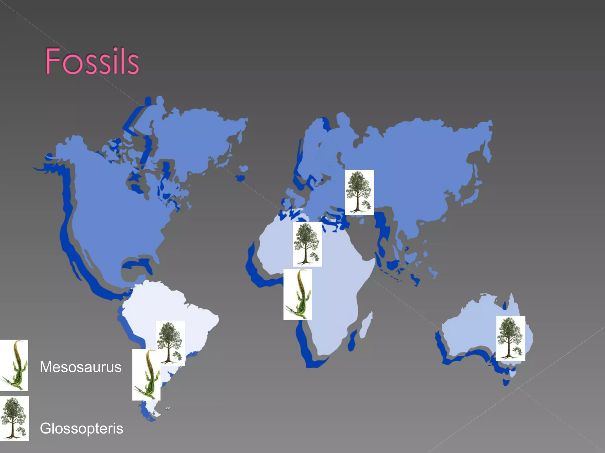 The pangaea theory | PPT