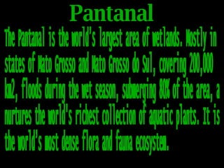 The Pantanal | PPT