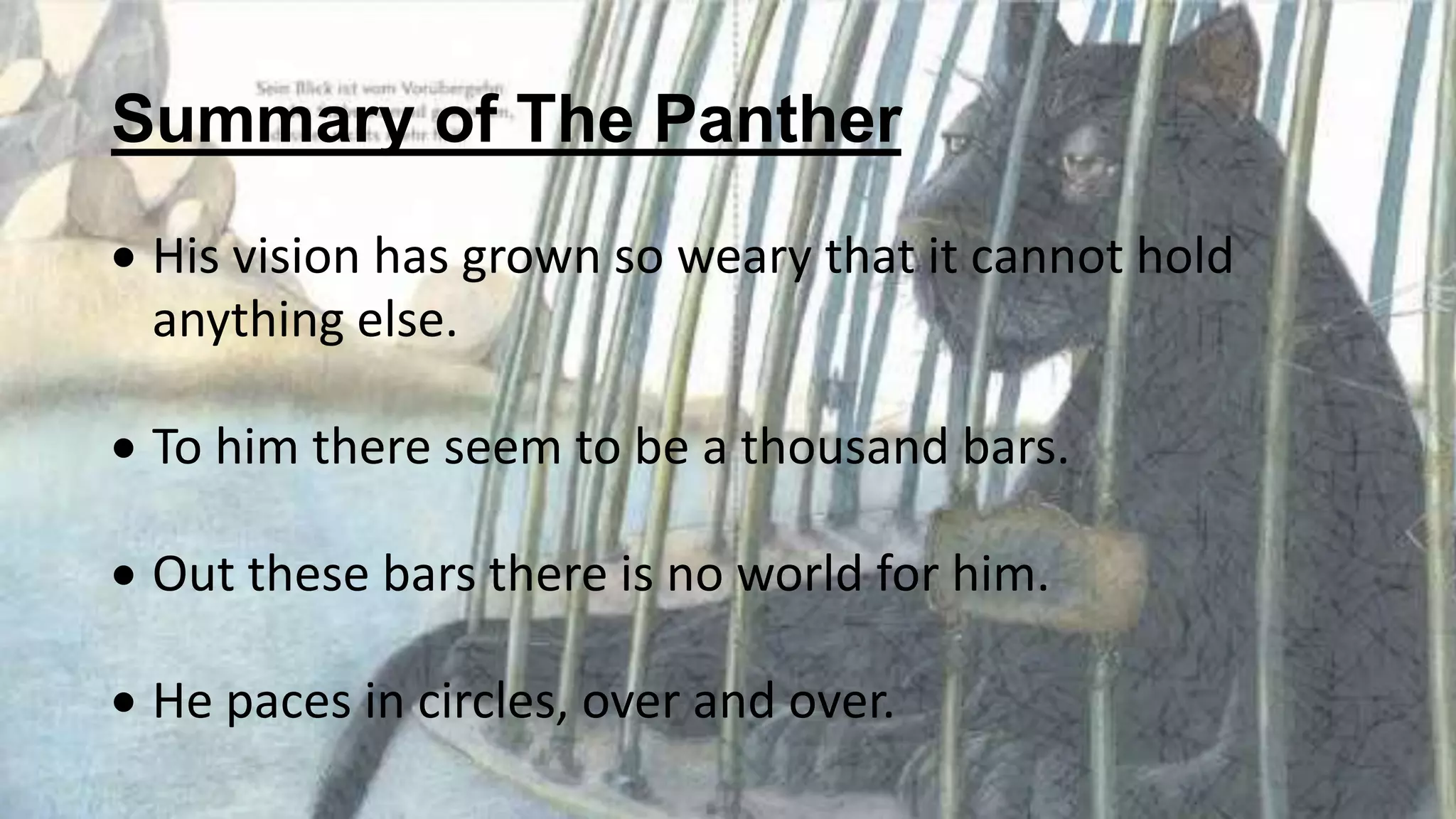 The panther 3.0.pptx