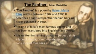 The panther 3.0.pptx