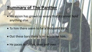 The panther 3.0.pptx