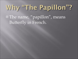 The Papillon (Butterfly) | PPT