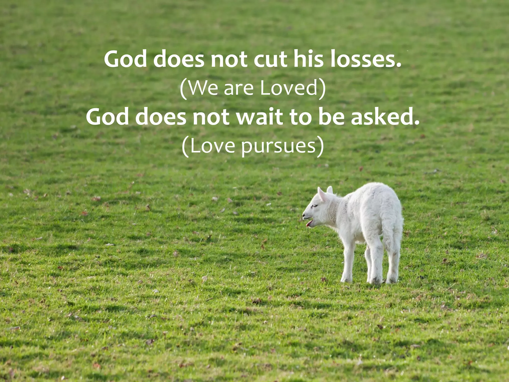 The Parable of the Lost Sheep | PDF
