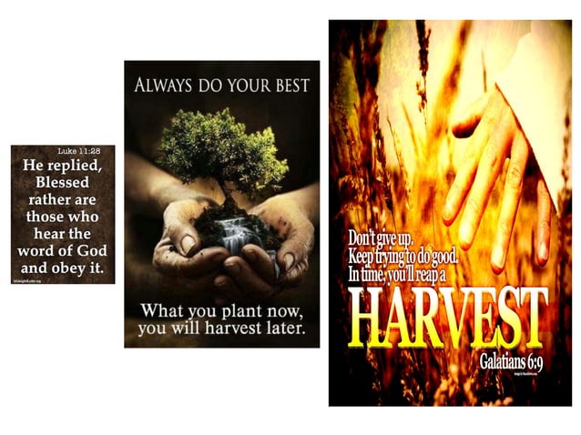 The parable of the sower | PPT | Christianity | Religion & Spirituality