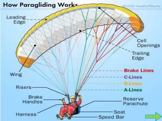 The Paragliding | PPTX