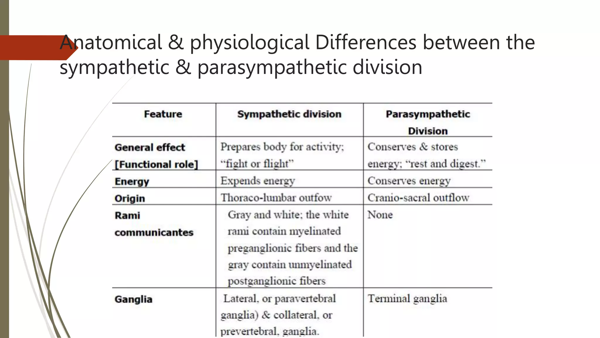 The parasympathetic nervous system.pptx