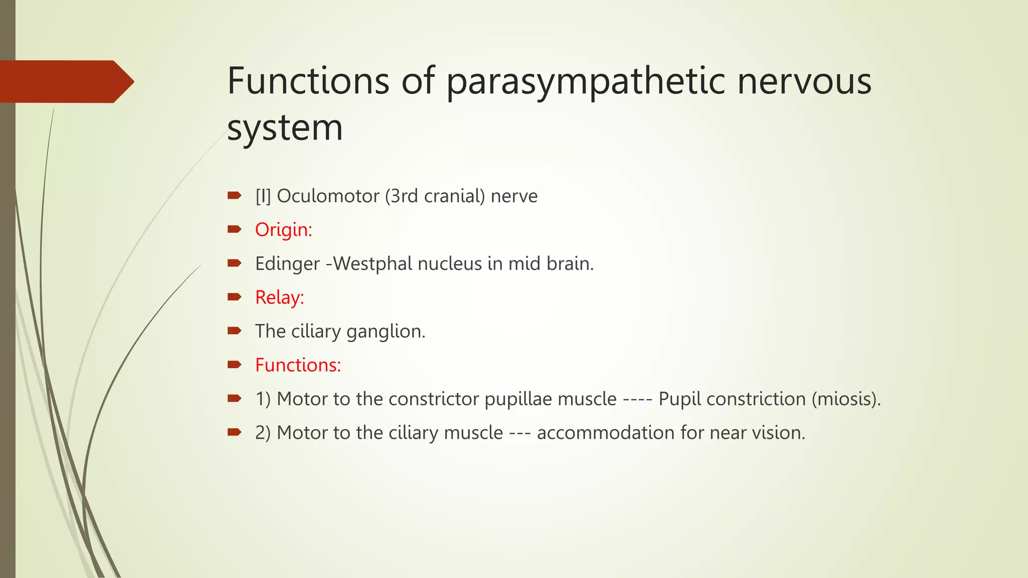 The parasympathetic nervous system.pptx