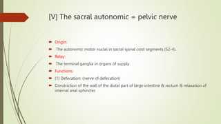 The parasympathetic nervous system.pptx