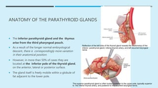 The parathyroid | PPTX