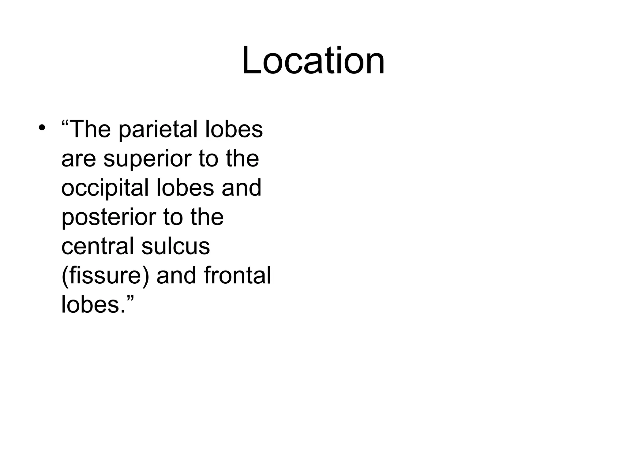 The Parietal Lobe | PPT