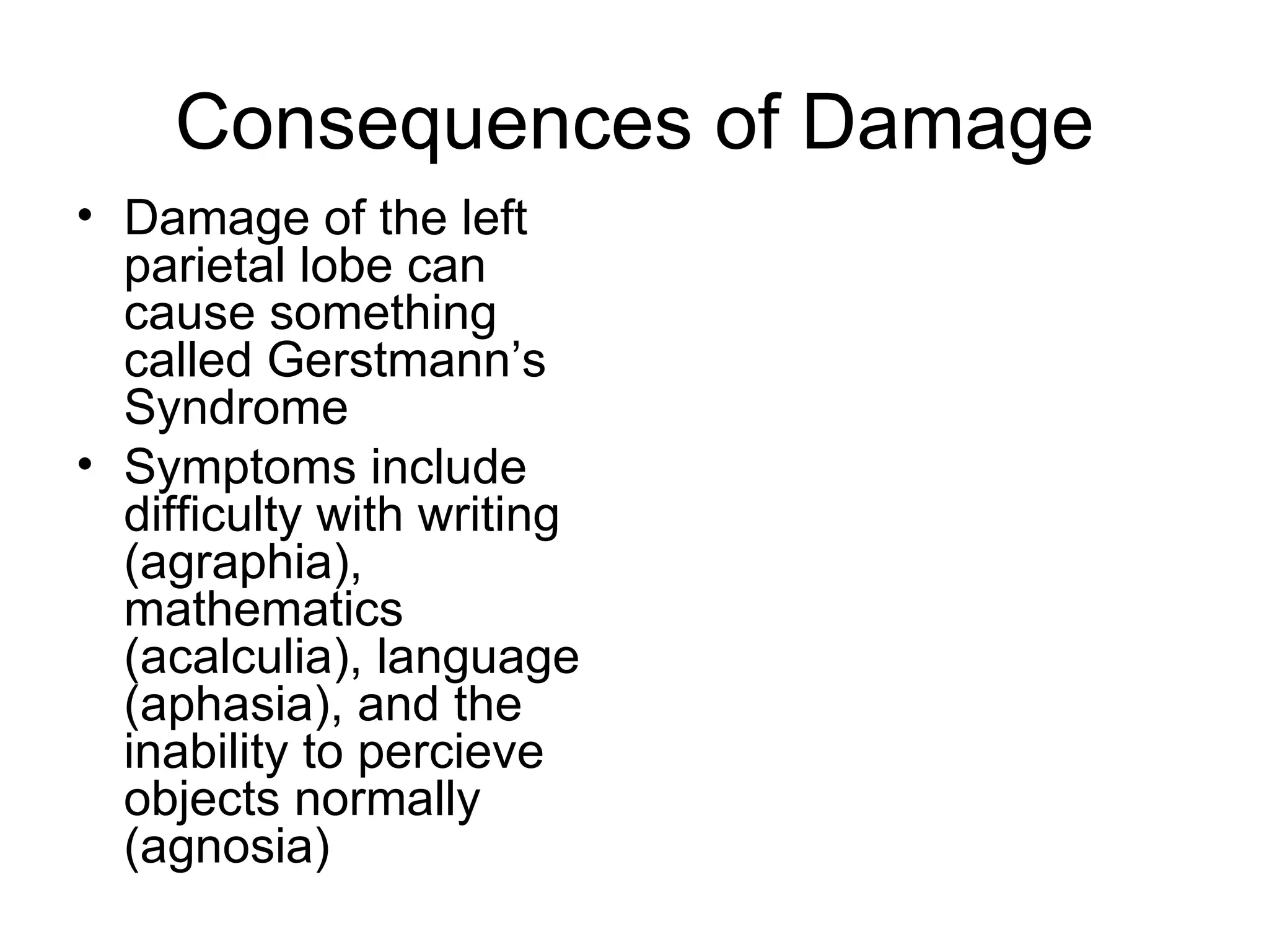 The Parietal Lobe | PPT