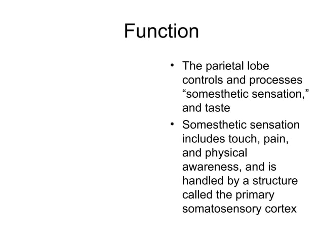 The Parietal Lobe | PPT | Brain and Nervous System Disorders | Diseases ...