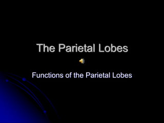 The_Parietal_Lobes.pdf