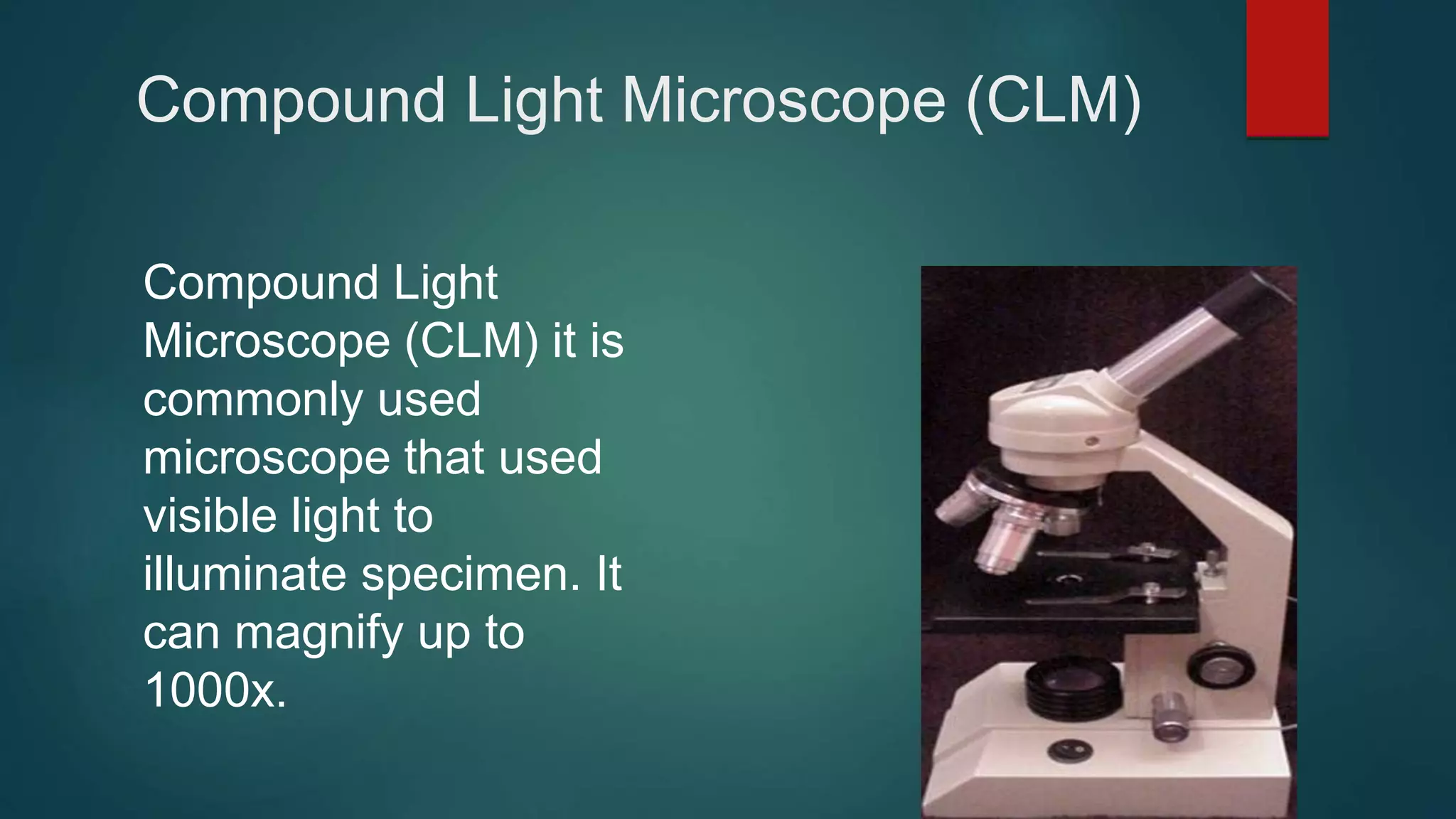 The parts and functions of the compound microscope | PPTX