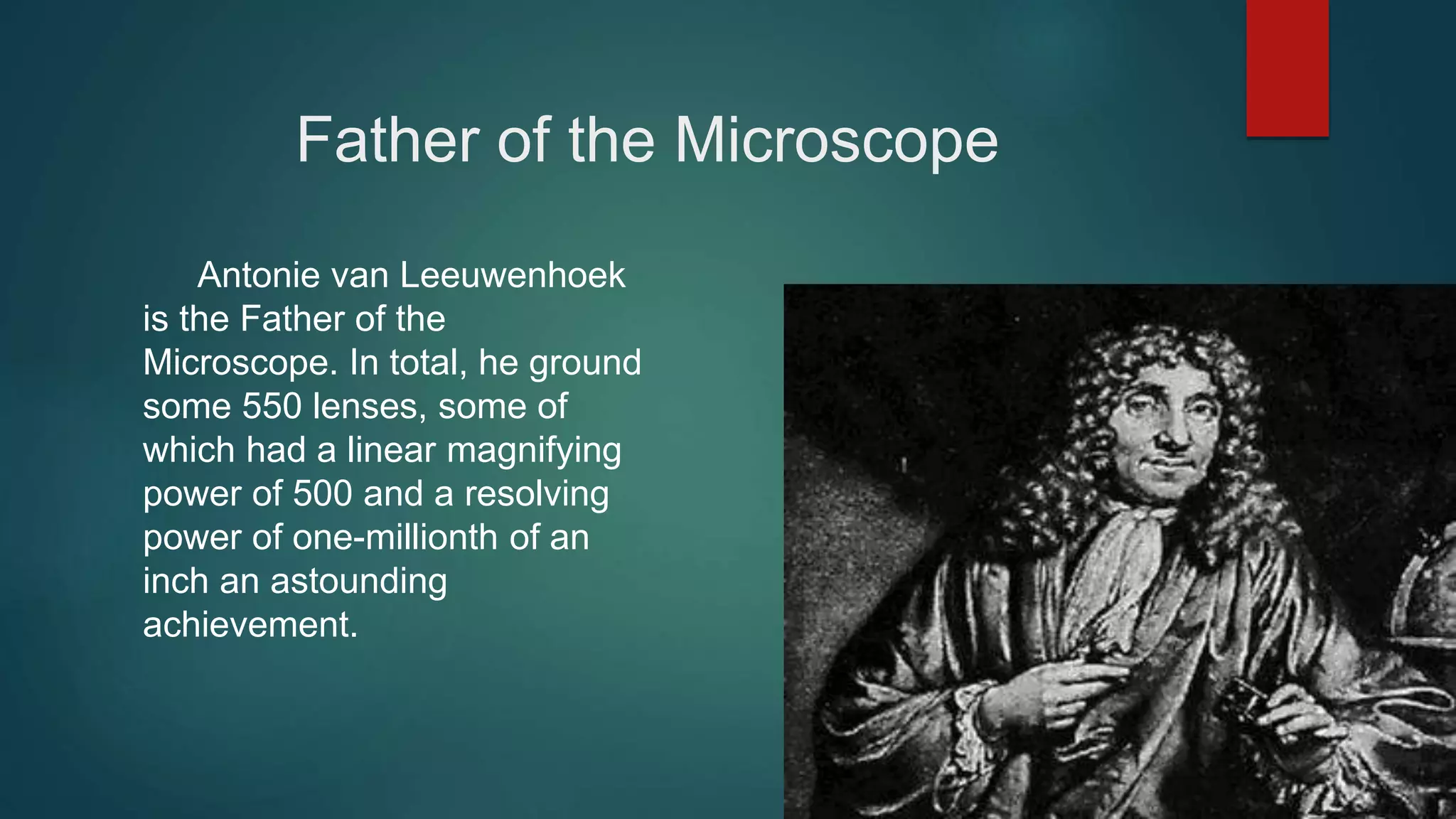 The parts and functions of the compound microscope | PPTX