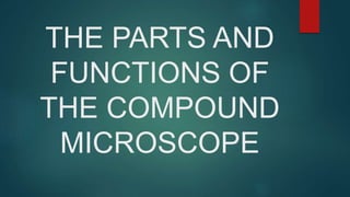 The parts and functions of the compound microscope | PPTX