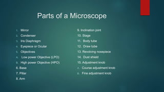 The parts and functions of the compound microscope | PPTX