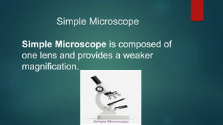 The parts and functions of the compound microscope | PPTX