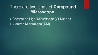 The parts and functions of the compound microscope | PPTX