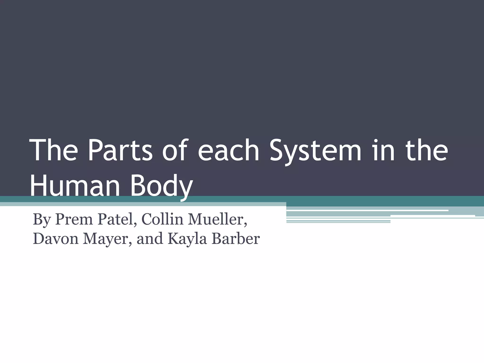 The parts of each system in the human body | PPTX