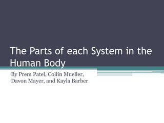 The parts of each system in the human body | PPTX