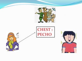 CENTRAL OF ECUADOR UNIVERSITY the parts of the body | PPTX