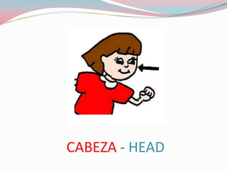 The parts of the body | PPTX