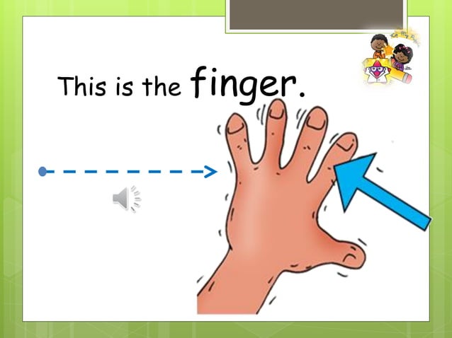 Science PowerPoint for Infant 1: Parts of the Body | PDF | Oral care ...