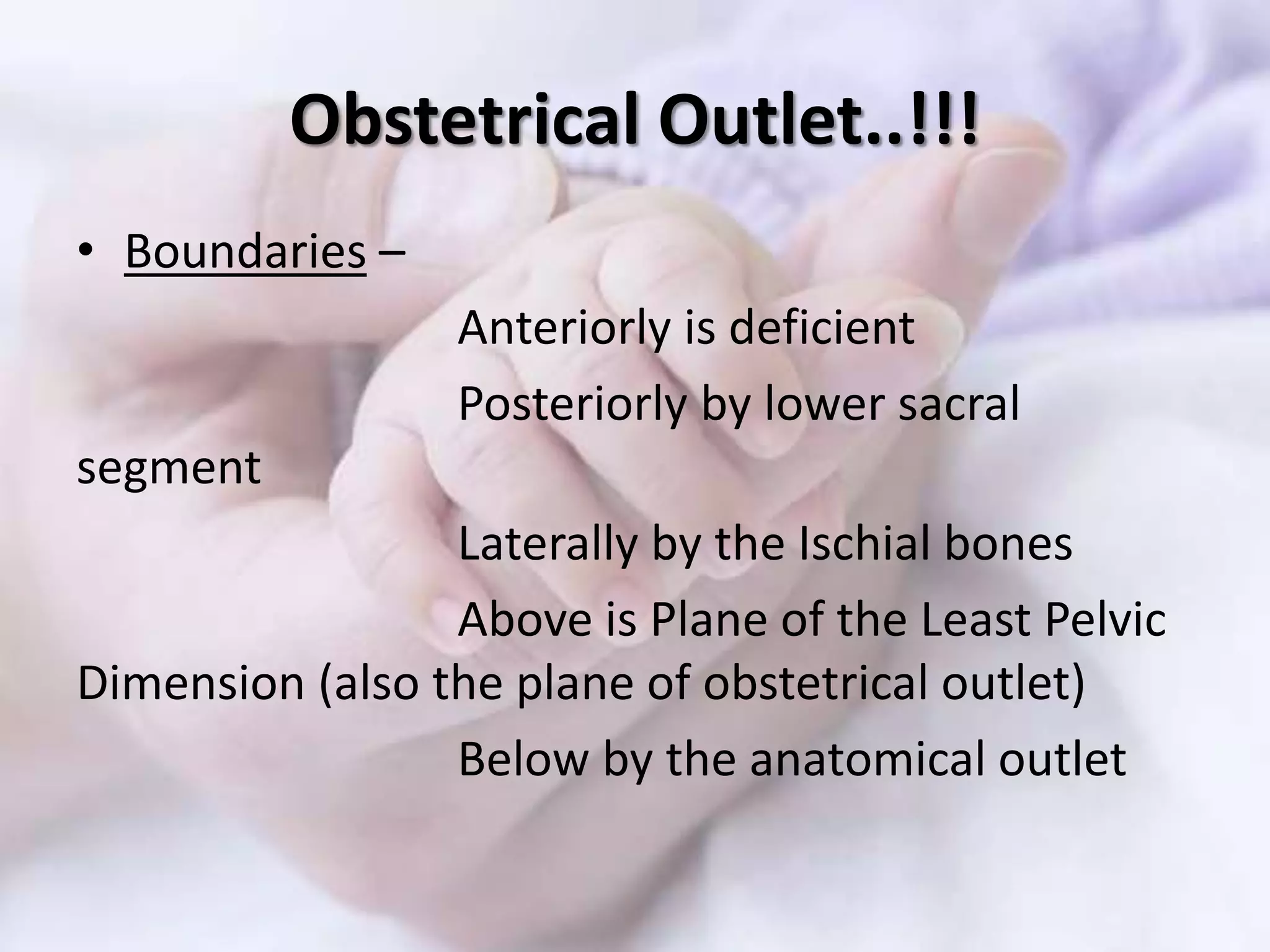 The Passage – Maternal Pelvis | PPTX
