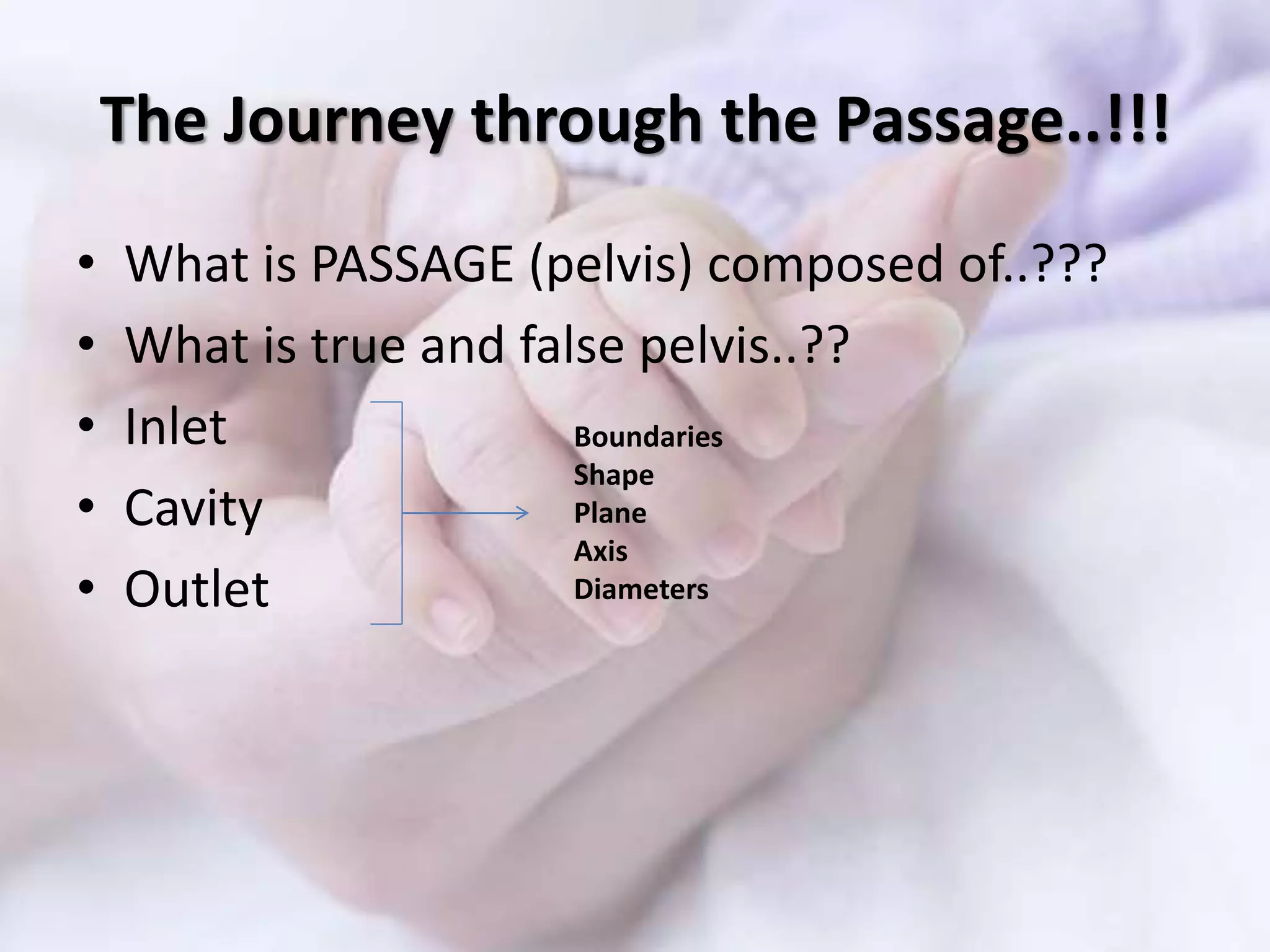 The Passage – Maternal Pelvis | PPTX