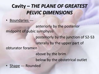 The Passage – Maternal Pelvis | PPTX