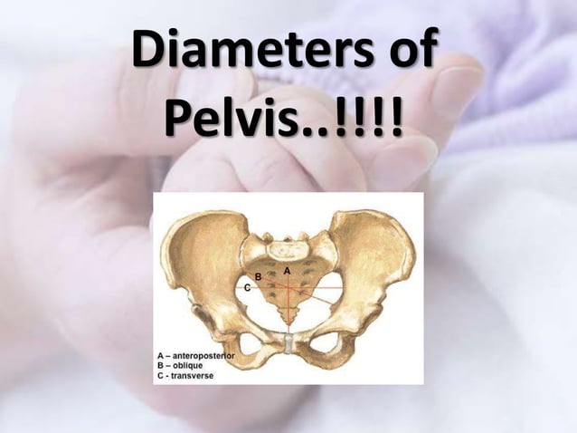The Passage – Maternal Pelvis | PPTX