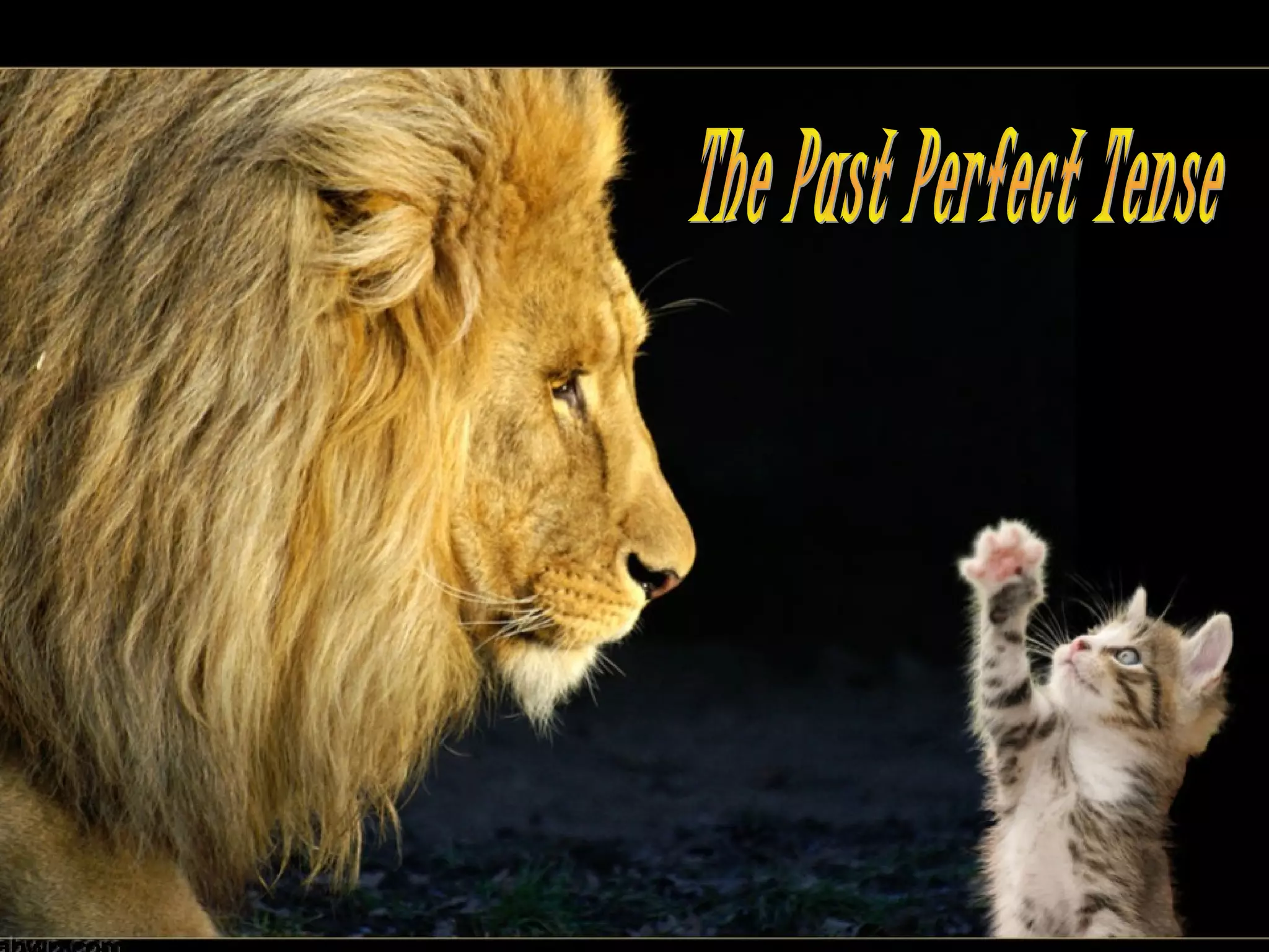 The past perfect tense | PPT