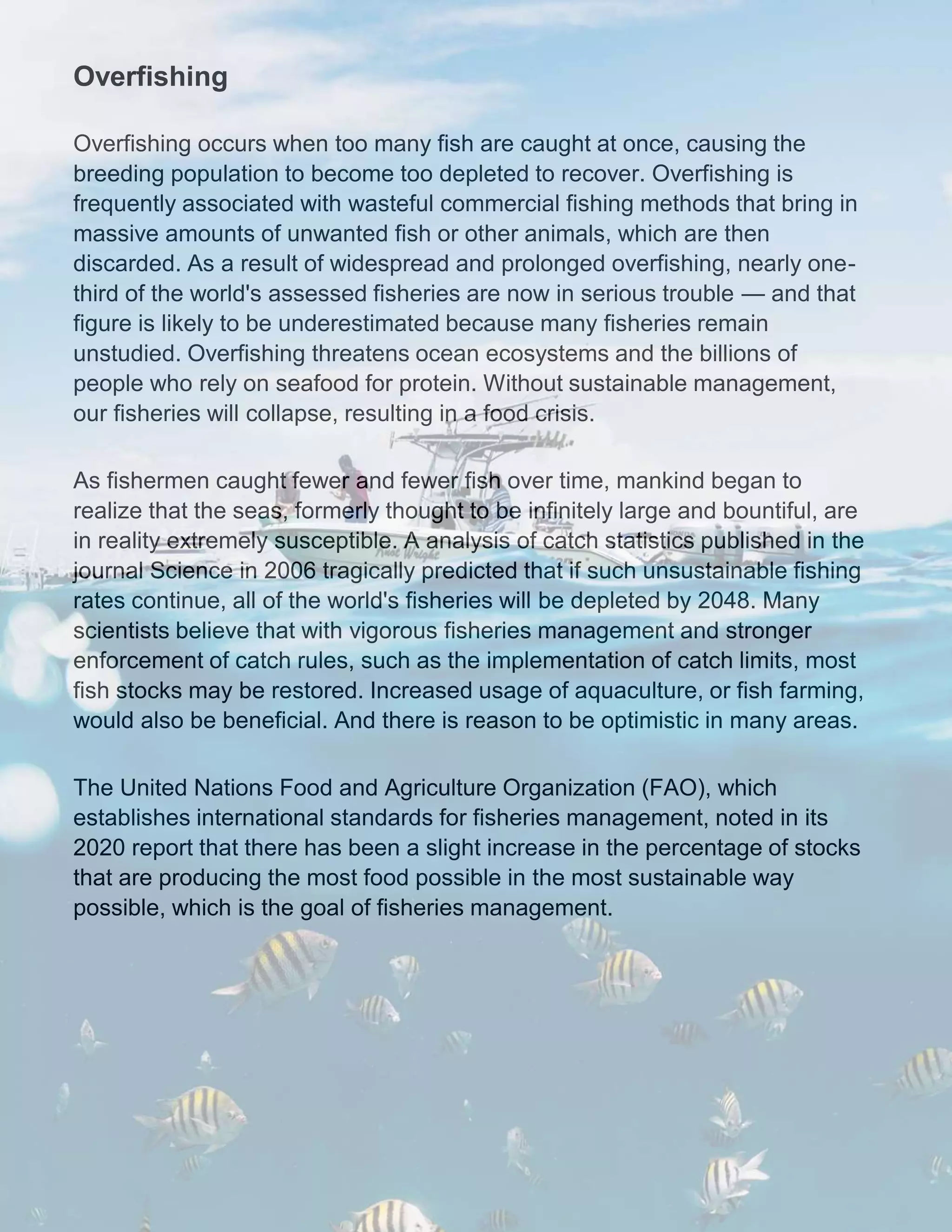 Environment: The Past, Present, & Future | PPTX