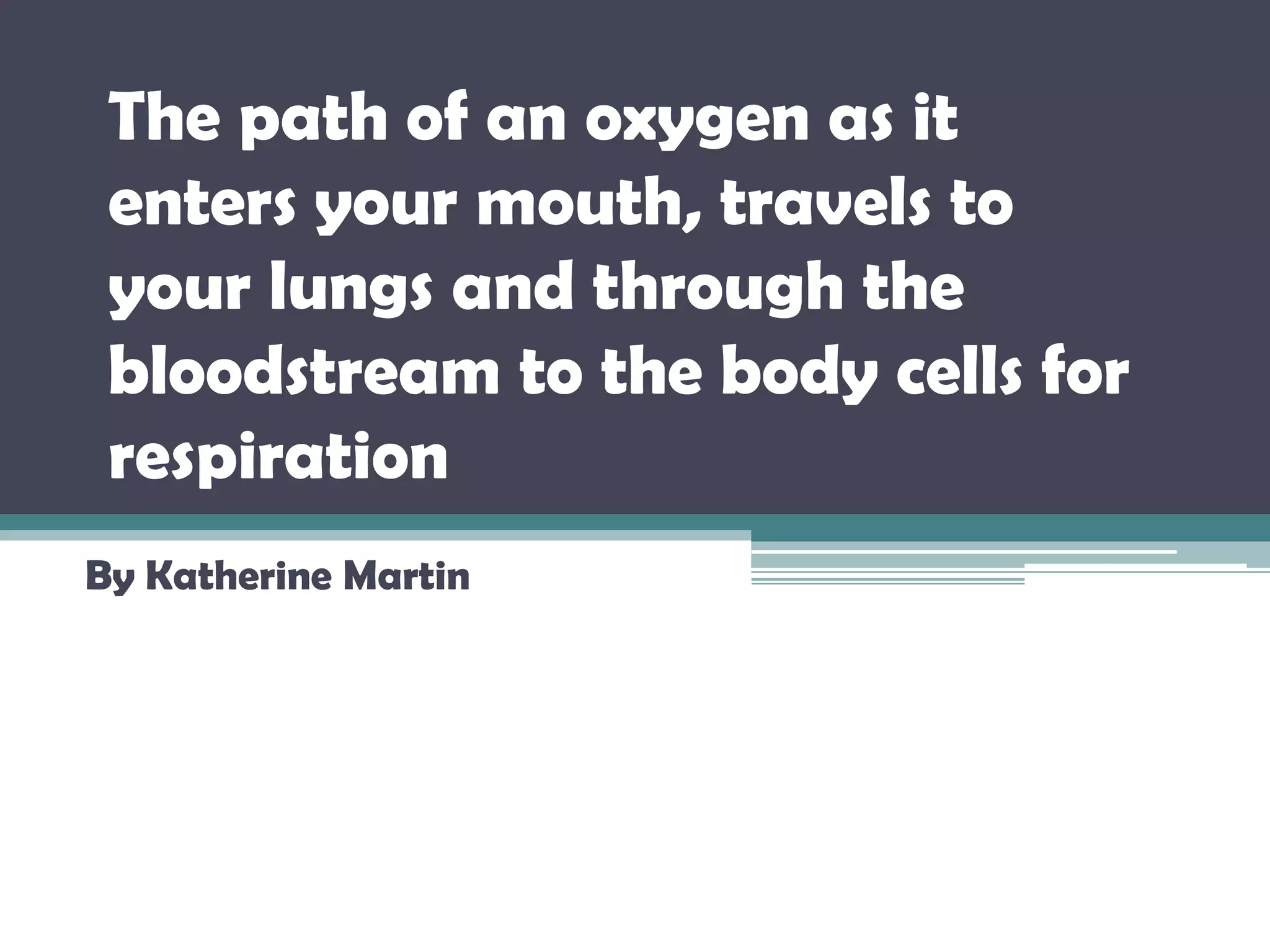 The Respiratory System (with animations) | PPTX