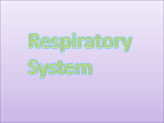 The path of oxygen through heart respitory system pp | PPTX