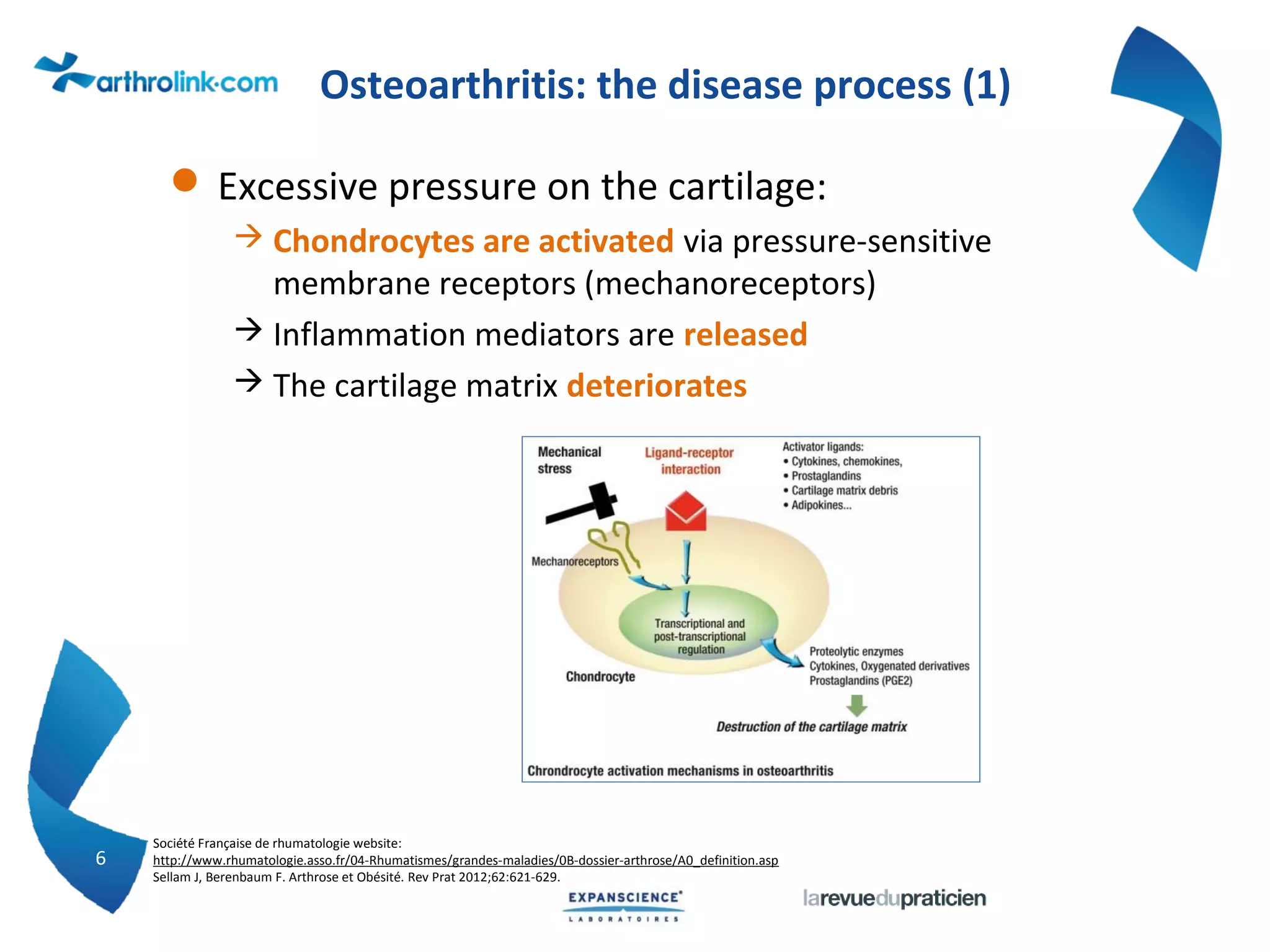The pathophysiology of osteoarthritis | PPT
