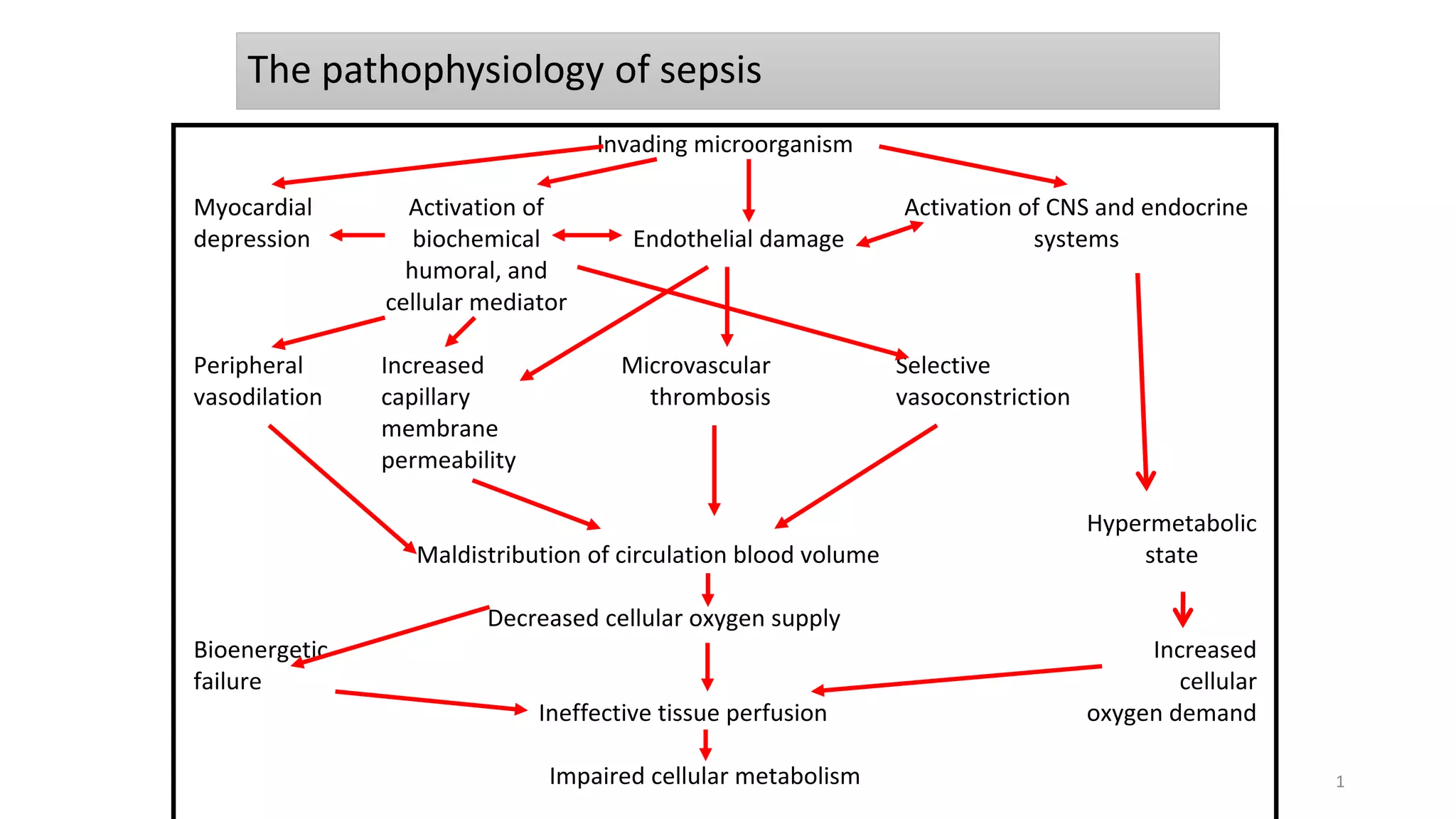 The pathophysiology of sepsis.pptx