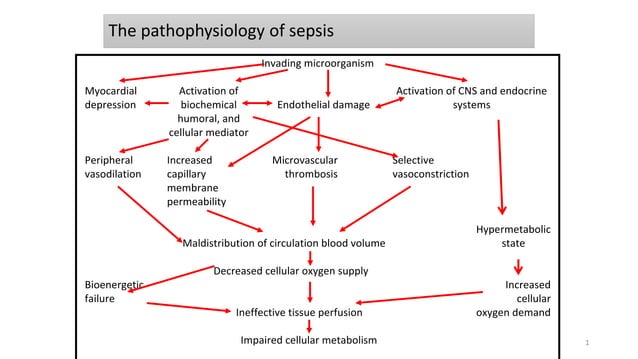 The pathophysiology of sepsis.pptx